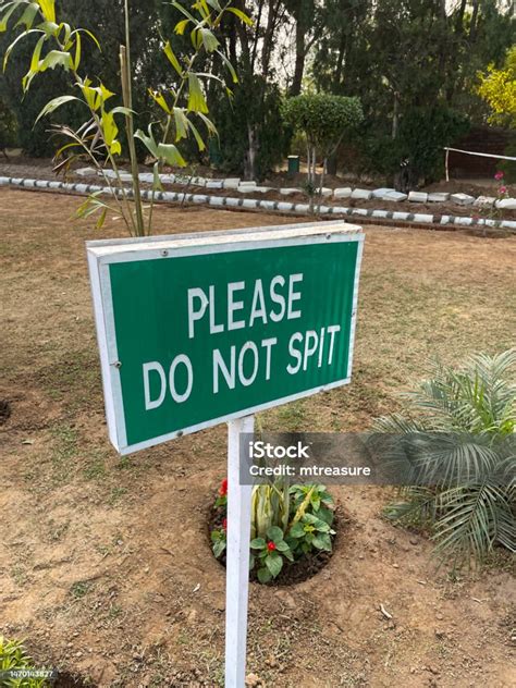 녹색 직사각형 공공 공원의 꽃 테두리 외에 침을 뱉지 마십시오 표지판 잔디밭에 자문 위원회 표지판 전경에 초점 0명에 대한 스톡 사진 및 기타 이미지 Istock