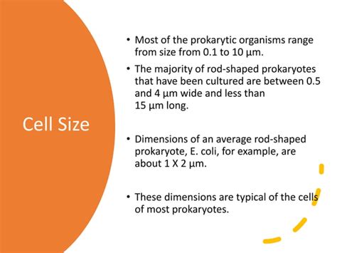 Structure Of Prokaryotes Pptx Pptx Genetics Science