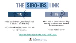 SIBO Probiotics And Your Gut Health A Long Term Strategy