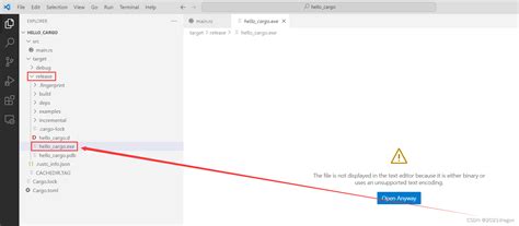 Rust入门基础 Csdn博客