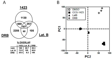 Microarrays Special Issue Diagnostic Prognostic And Predictive