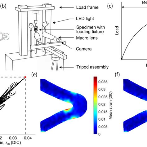 Full Field Strain Measurement On A Diamond Nitinol Test Specimen During Download Scientific