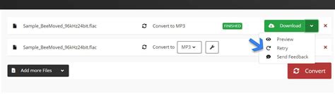 How To Open Convert FLAC File On Any Device