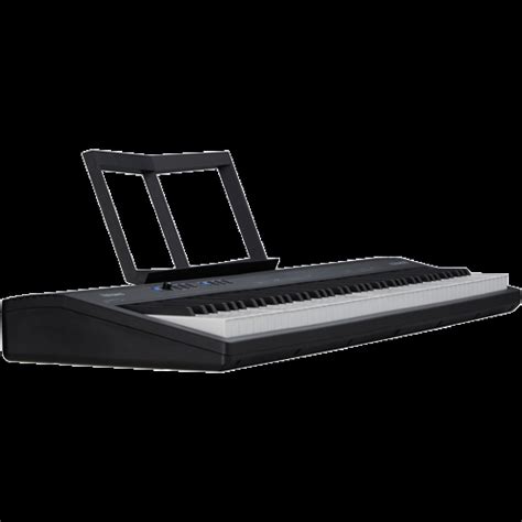 Roland GO-88P