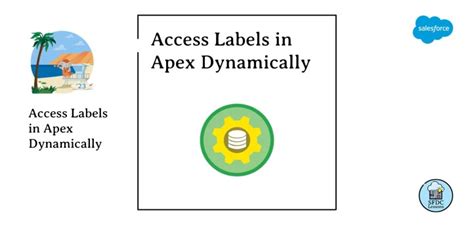 Access Labels In Apex Dynamically Sfdc Lessons