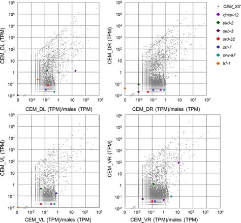 Transcriptomic Profiling Of Sex Specific Olfactory Neurons Reveals