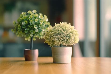 好看的植物高清图片下载 正版图片600186395 摄图网