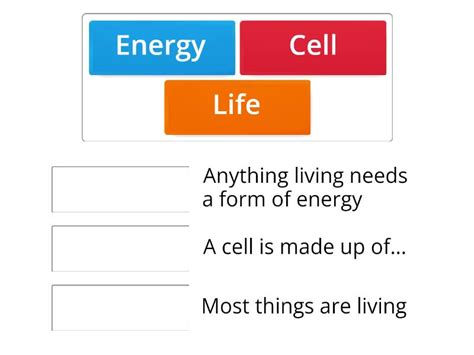 Sipc Grade 6 Week 6 Assessment Match Up