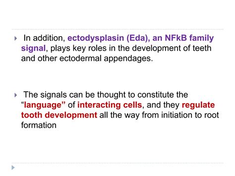 Genetics In Tooth Development Copy Pptx
