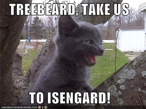 Treebeard Quotes QuotesGram Treebeard Quotes QuotesGram