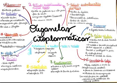 Mapa Mental Organelas Biologia Celular