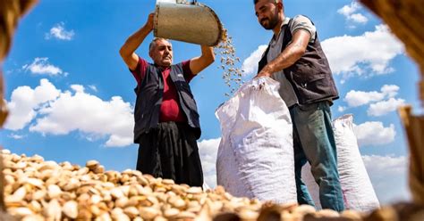 GTBnin fotoğraf yarışması sonuçlandı Güncel Gazete
