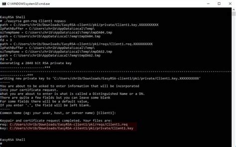 HOWTO Setup OpenVPN Server And Client Configuration Files Using EasyRSA