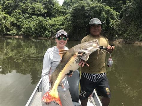 Red Tailed Catfish River Monsters Red Tailed Catfish River Monsters