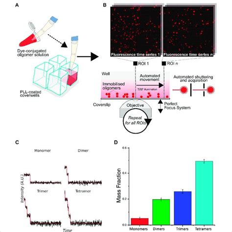 Workflow Of High Throughput Protein Oligomer Analysis By Download Scientific Diagram