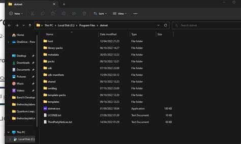 Cannot Run Any Dotnet Commands From Packgage Manager Nor Command Line