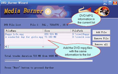 Convert And Burn Swf To DVD E M Magic Swf Avi