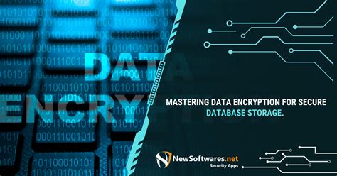 Mastering Data Encryption For Secure Database Storage Newsoftwares