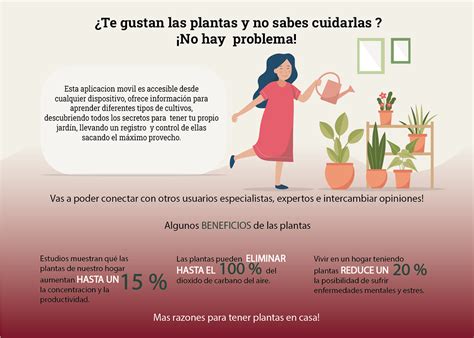 diseÑo ux ui app plantas coder house behance
