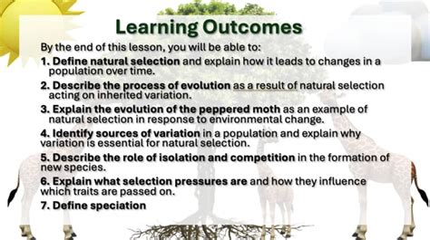 Natural Selection And Evolution Lesson Charles Darwin Peppered Moth
