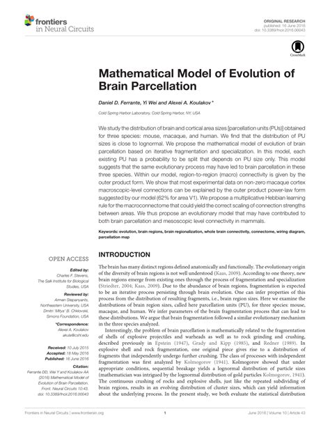 Pdf Statistical Model Of Evolution Of Brain Parcellation