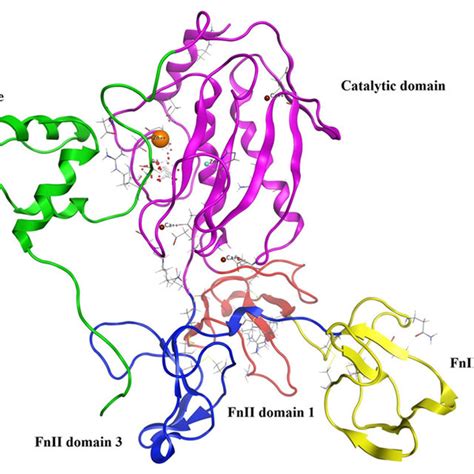 Molecular Docking Conformations Generated By Pymol Visualizing