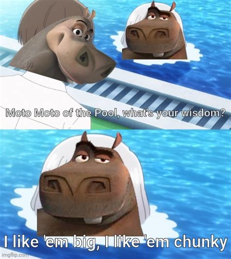 Madagascar Moto Moto Quotes Moto Moto From Madagascar Film Not Place