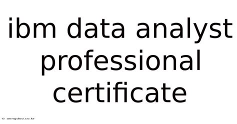 Ibm Data Analyst Professional Certificate
