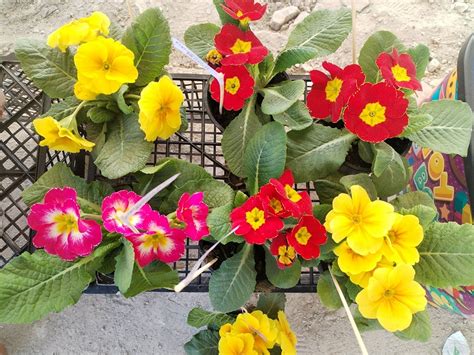 Рачно изработени украси Рачно изработени украси и накит