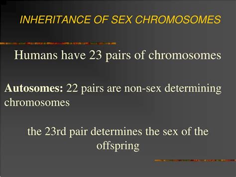 PPT Sex Linked Traits PowerPoint Presentation Free Download ID