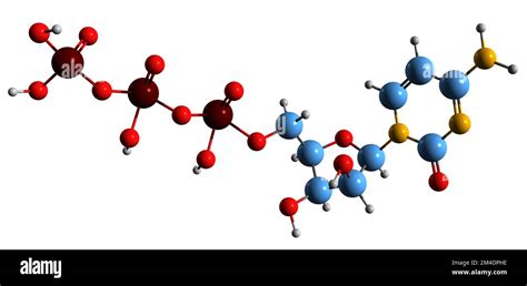 3d Image Of Cytidine Triphosphate Skeletal Formula Molecular Chemical