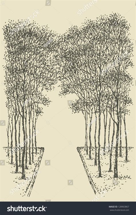 Trees Making Arch Vector Images Stock Photos D Objects Vectors Shutterstock