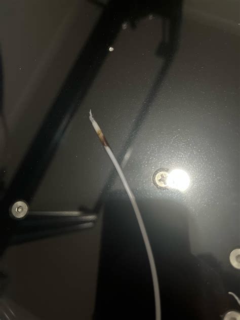 Help Printer Not Printing R3dprinting
