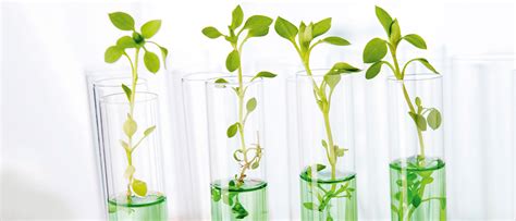 Blackmores Institute Launches New Interactions Guide