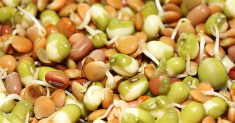 Ultimate Guide To Lectin Toxicity Everything You Need To Know Lectin Free Meal Planner