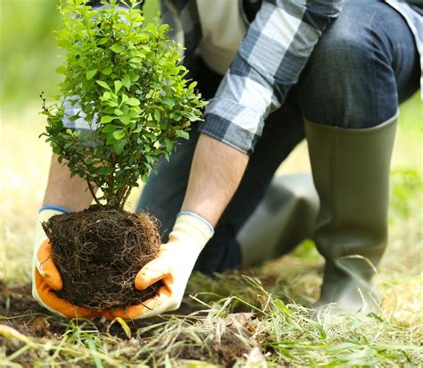 Alle Traueranzeigen Für Maria Massing Trauerrp Onlinede