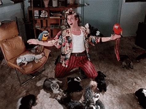Ace Ventura S