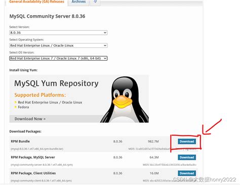 史上最详细最全保姆级教程mysql的在线和离线安装部署外加卸载一条龙文章 离线安装mysql csdn博客
