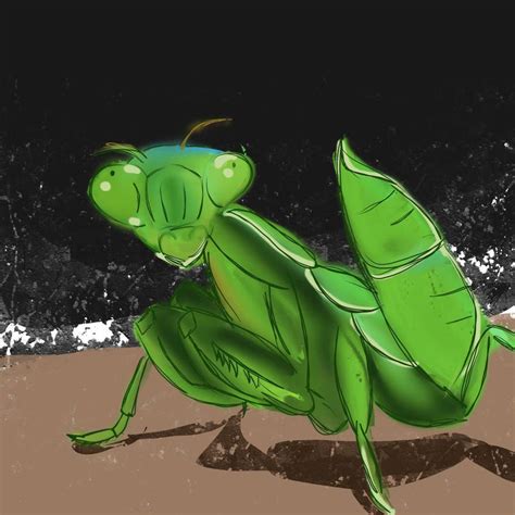 Praying Mantis By Studiomasha On Deviantart