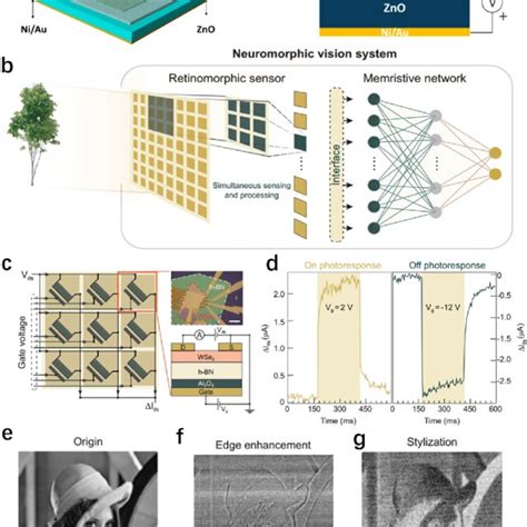 Common Graphene Preparation Methods And Photodetectors Based On