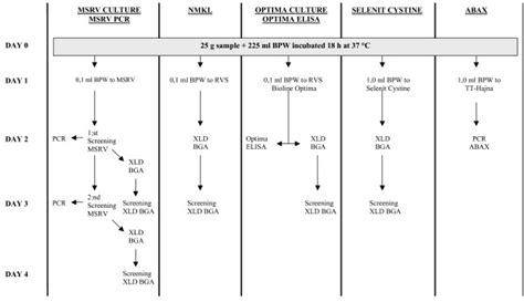 Flowchart Of Salmonella Detection Methods Starting With The