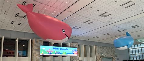 Docker Daemon Configuration File The Config File Option Allows You To By Sujay Pillai Medium