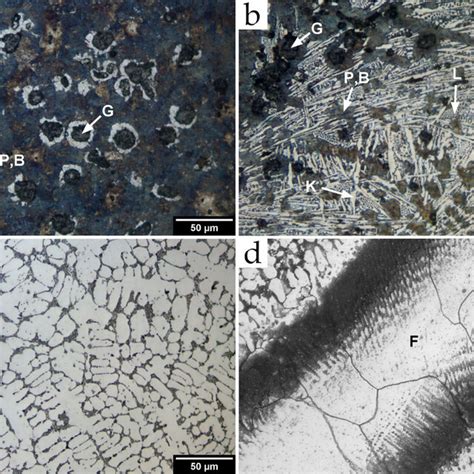 Microstructure Of The Nodular Cast Iron Used In The Study P Perlite Download Scientific