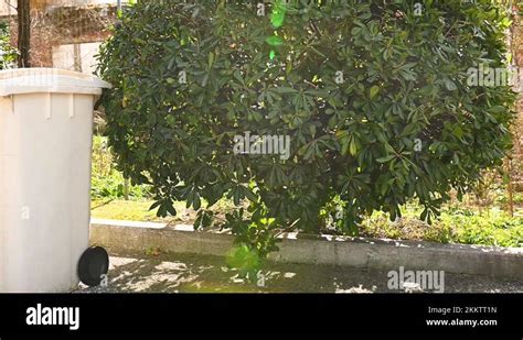 Three Bins Stock Videos And Footage Hd And 4k Video Clips Alamy