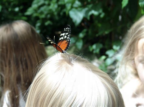 Patience Theodore Cale Schafer