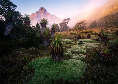 Jurassic Park Jurassic Park Incredible Places Landscape Features