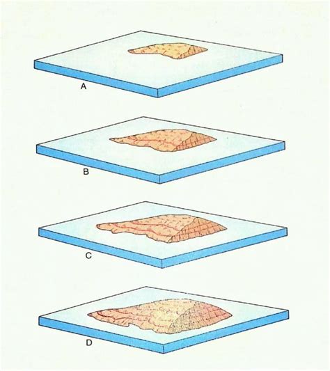 Understanding Elevation Steps In Architecture