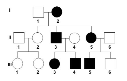 Genetics Final Exam Flashcards Quizlet