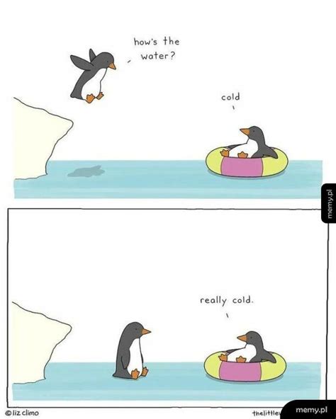 Bartosz To Nie Imię Bartosz To Zboczeniec Memy Pl