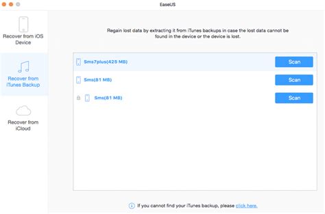 How To View IPhone Backup Files On PC